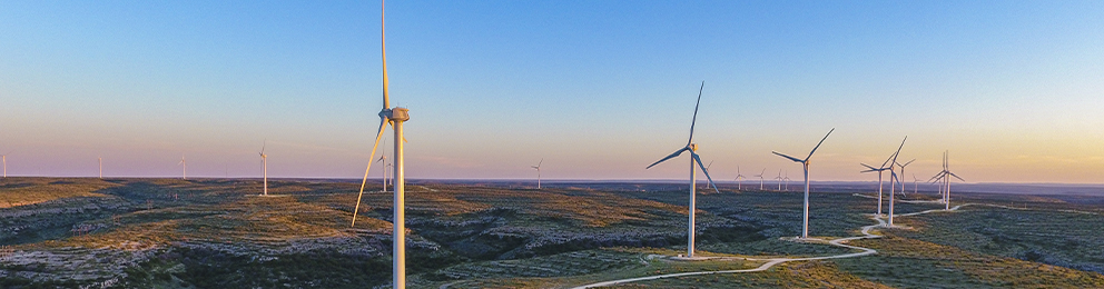 Surging Renewable Energy in Texas Prompts Electricity Generation ...